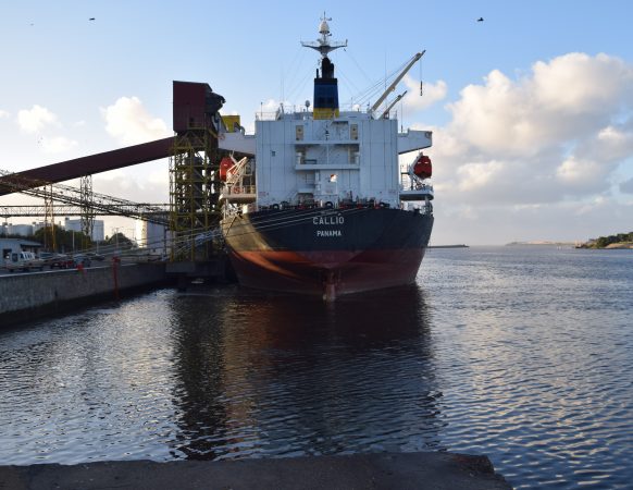 Argentina: Puerto Quequén presenta primeros resultados de su reducción ...