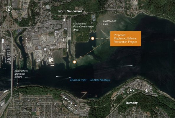 Maplewood project - PortalPortuario