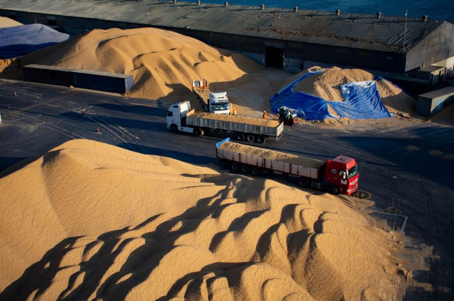 soya boliviana arica 3 - PortalPortuario