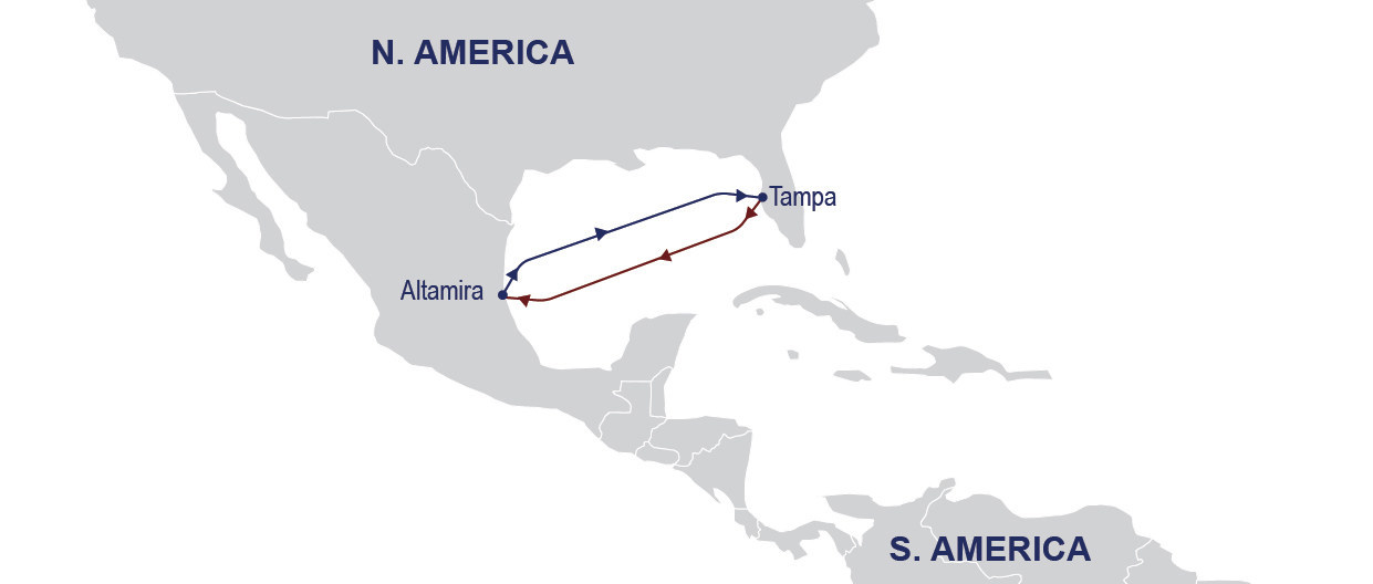 ZIM iniciará en diciembre un nuevo servicio entre Altamira y Tampa ...