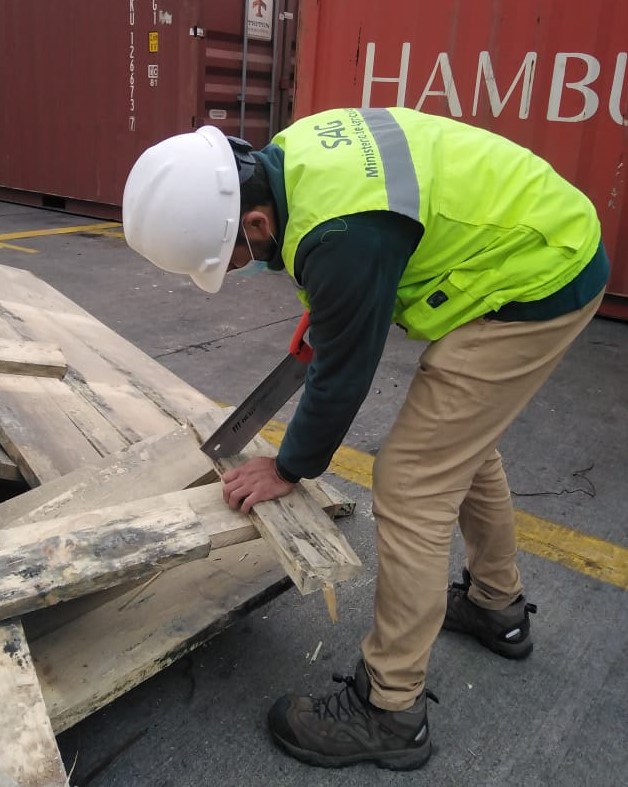 SAG detecta plaga en embalaje de madera de contenedores arribados al ...