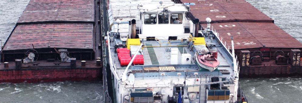 Argentina presenta guía con recomendaciones y buenas prácticas para ...