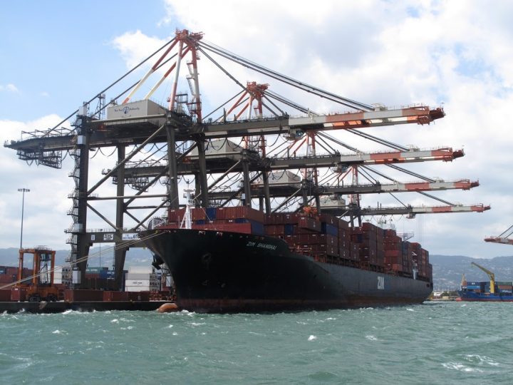 ZIM lanzará nuevo servicio mejorado que conecta el subcontinente indio ...