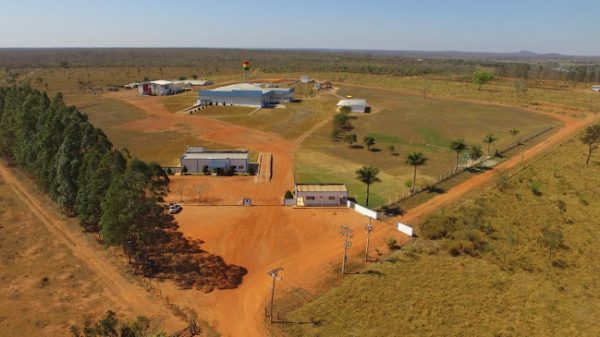 Frigorifico BFC Beni Bolivia - PortalPortuario