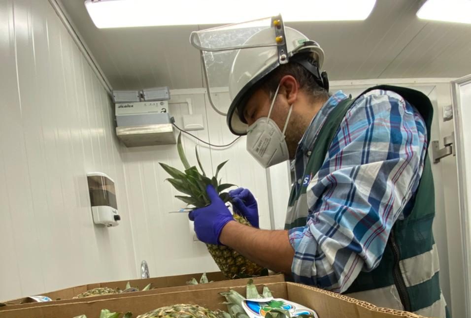 SAG Bio Bio capacita a representantes de agencias de aduanas en proceso ...