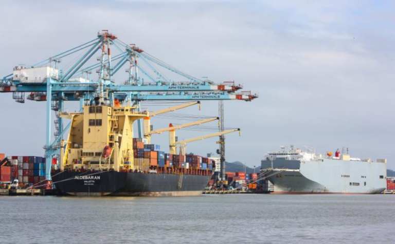 Puerto de Itajaí gana nuevo servicio de línea de contenedores ...