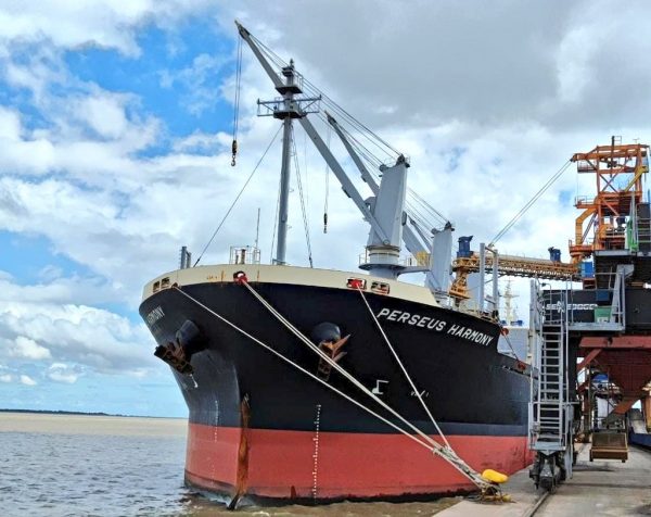 Uruguay: Buque carga más de 30 mil toneladas de canola en el muelle Ultramar Norte - PortalPortuario