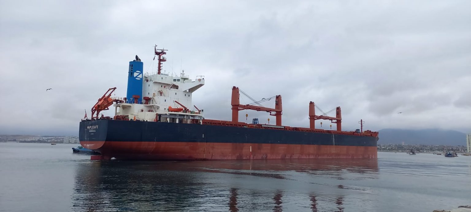 Embarcan más de 10.000 mt de concentrado de cobre en el Puerto de ...