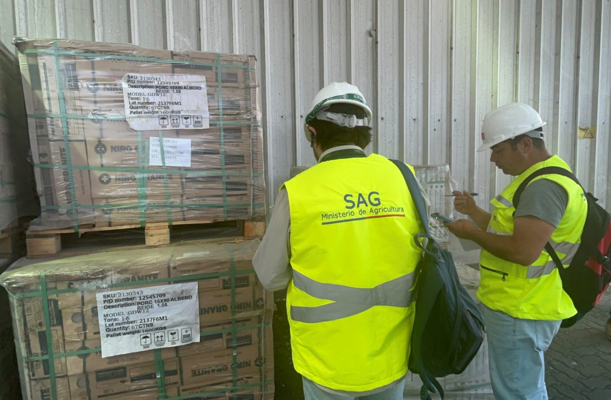 SAG intercepta plagas forestales en los puertos de la Región del Bio ...