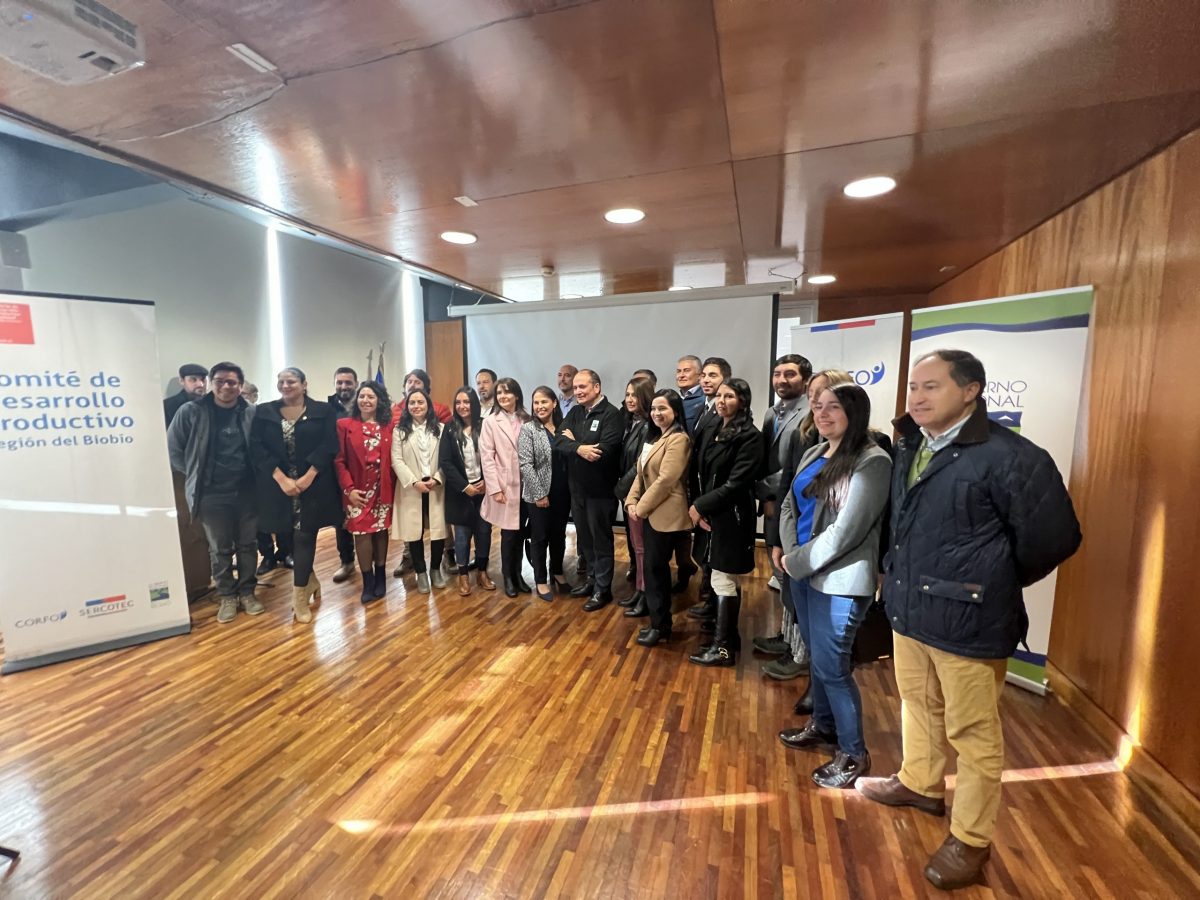 Puertos de Talcahuano integra mesa de gobernanza de hidrógeno verde - PortalPortuario