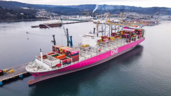 Buque de color magenta ONE Paraná recala por primera vez a DP World ...