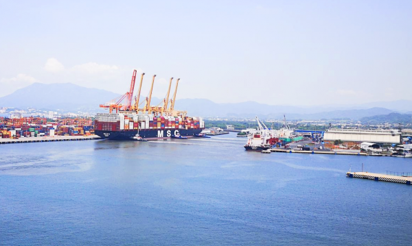 Puertos mexicanos incrementan manejo de carga en cabotaje - PortalPortuario