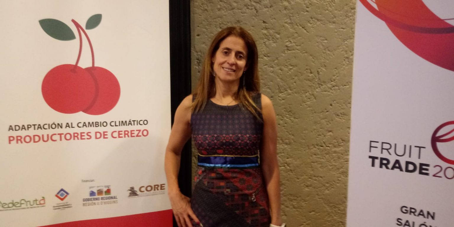 Crecimiento de exportaciones de cerezas chilenas pasaría por garantizar ...