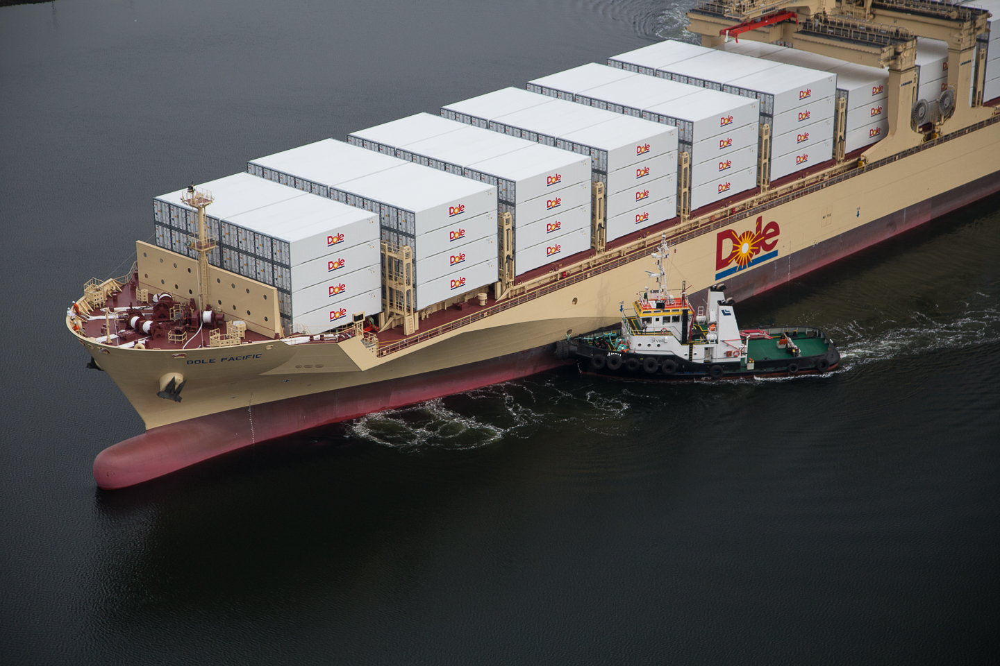 Dole Ocean Cargo Express reanuda servicio en Puerto Caldera ...