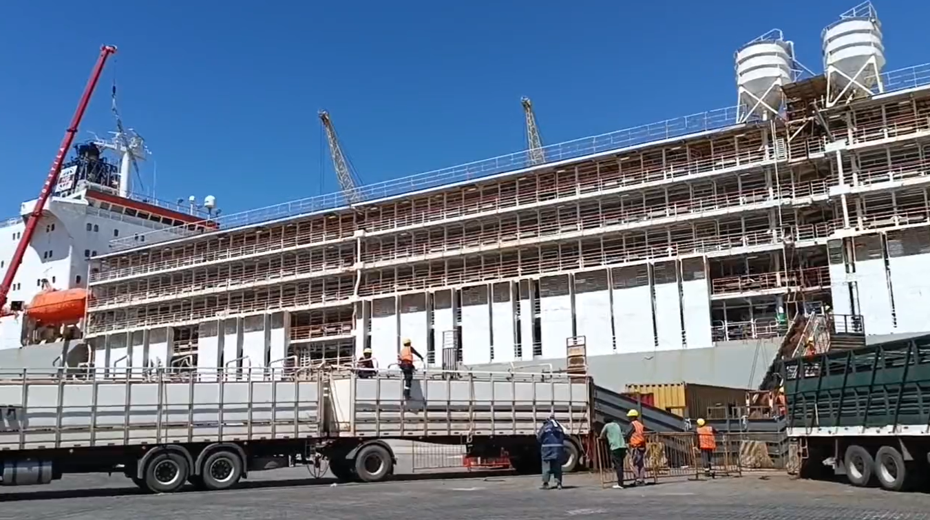 Uruguay: Buque embarca 24 mil animales en pie en el Puerto de ...