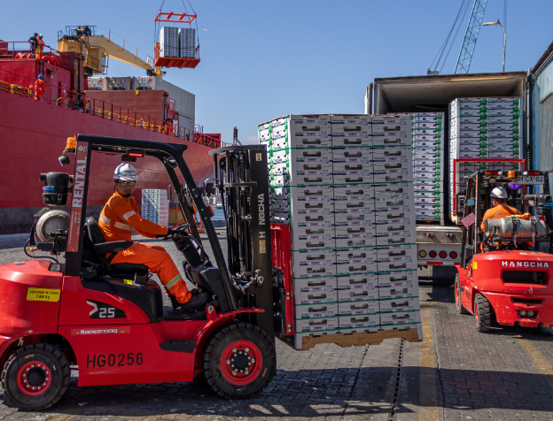 Buque frigorífico carga 2.530 pallets con fruta fresca en Terminal ...