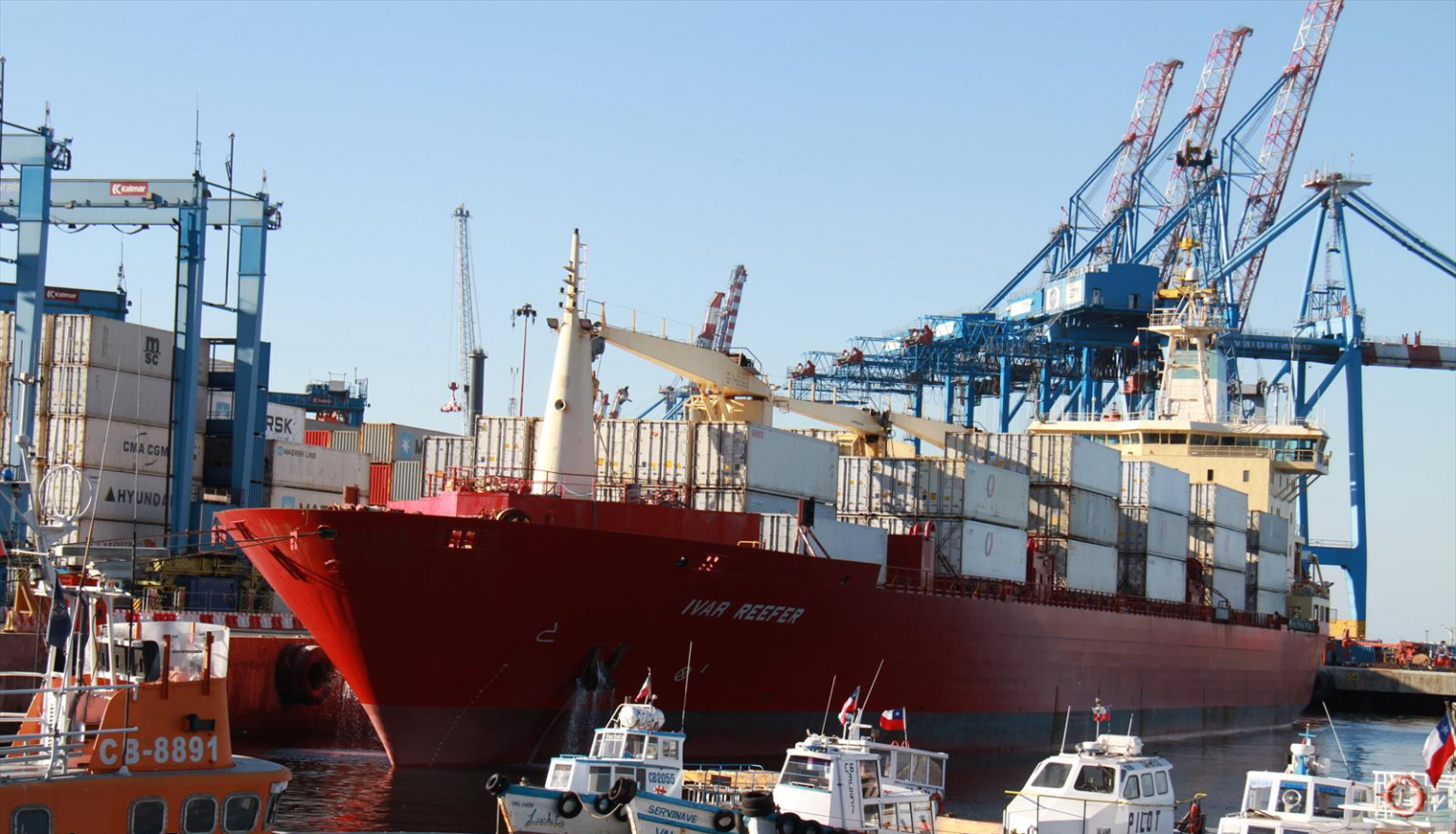 Cool Carriers moviliza desde TPS primer embarque de fruta dirigido a la ...