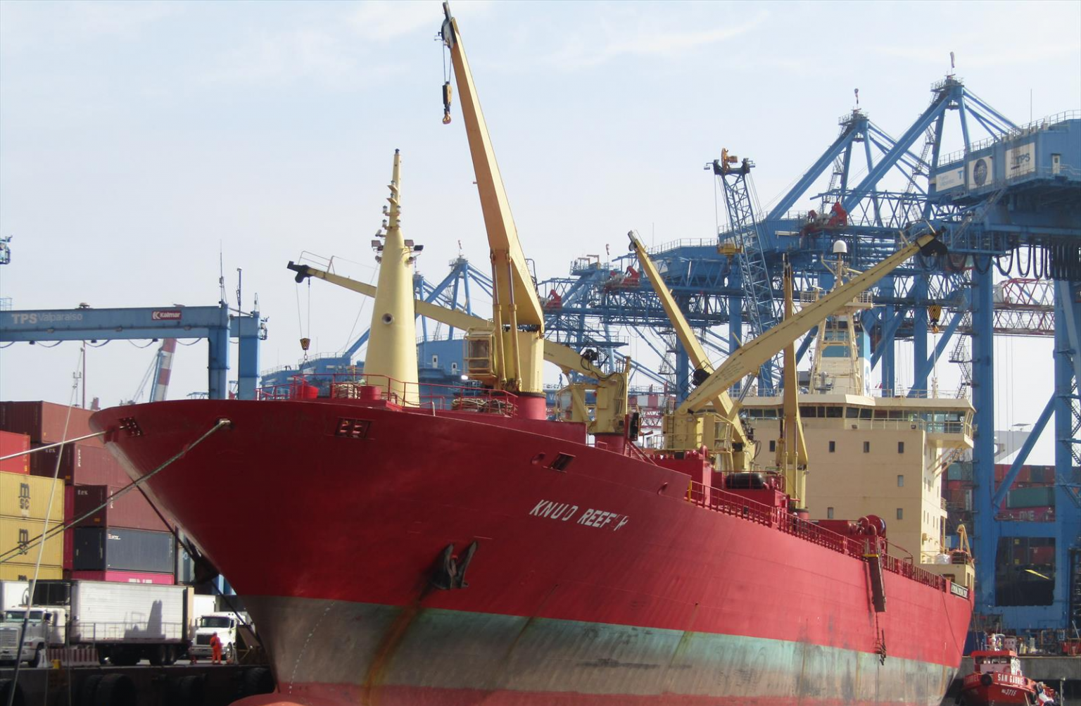 Buque reefer embarca 2 mil pallets con fruta fresca en el Terminal ...