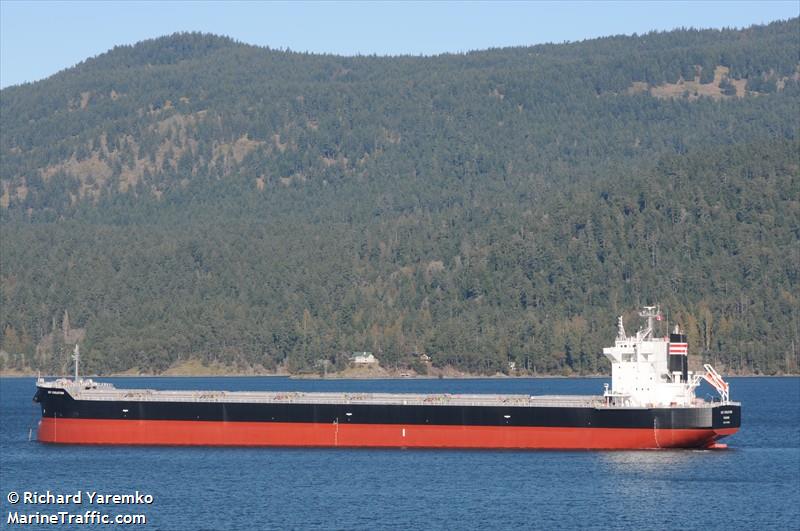 Castor Maritime anuncia venta del buque granelero MV Magic Venus ...