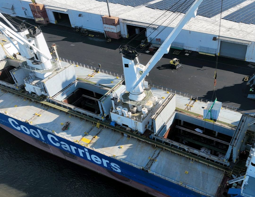 Primer embarque de fruta chilena movilizado por Cool Carriers arriba a ...