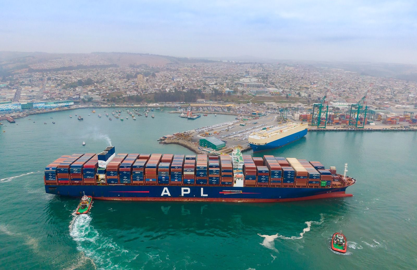 APL ESPLANADE buque de mayor eslora 369 metros en llegar a Puerto de ...