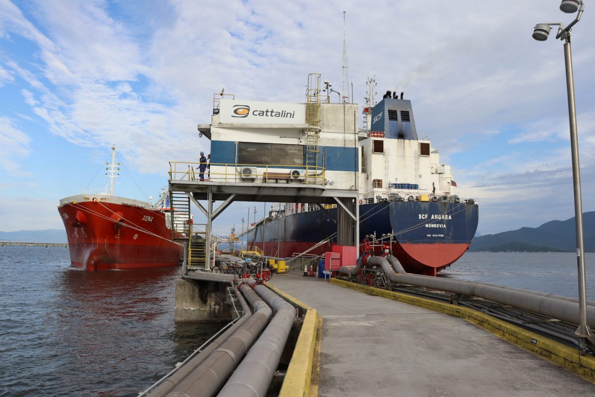 Cattalini oferece maior capacidade de carga do píer privado com aumento ...