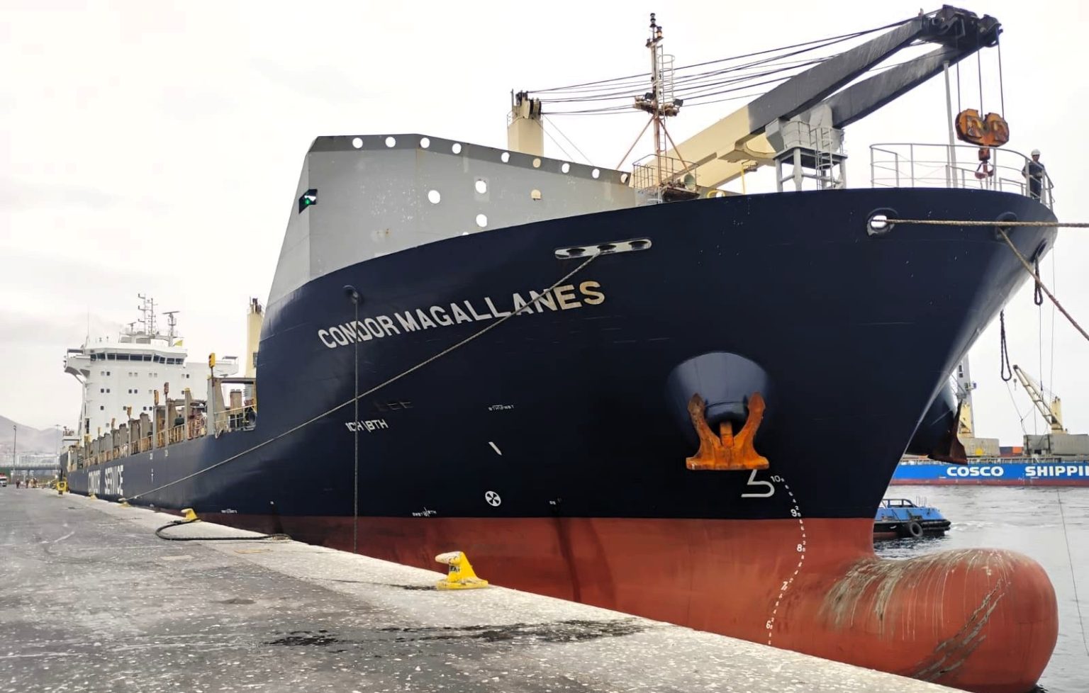 Condor Magallanes en el Puerto de Antofagasta - PortalPortuario