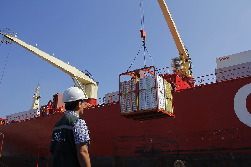 Chile: Nueva proyección sitúa en 12% alza en exportaciones de carozos ...