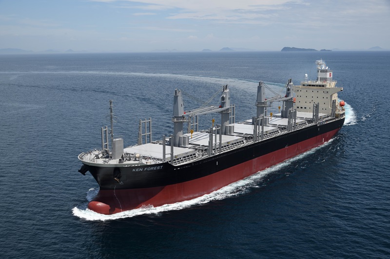 Imabari Shipbuilding completa entrega granelero de 40.000 DTW ...