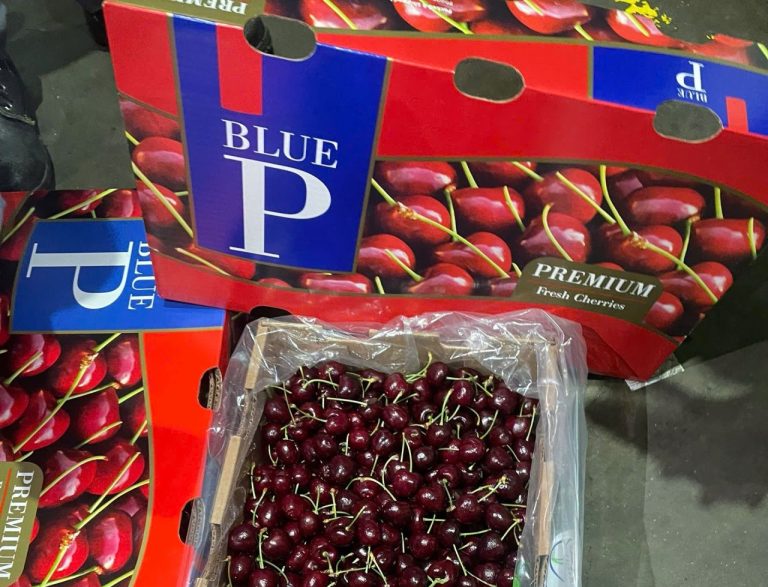 Hanói recibe primeros contenedores cargados con cerezas chilenas ...